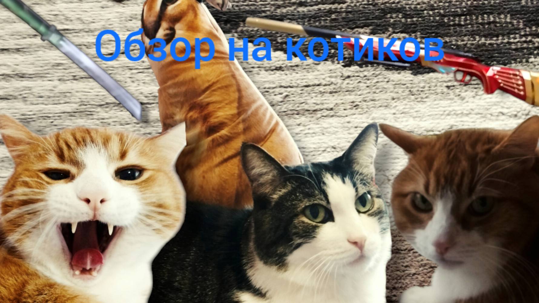 ОБЗОР НА КОТИКОВ!