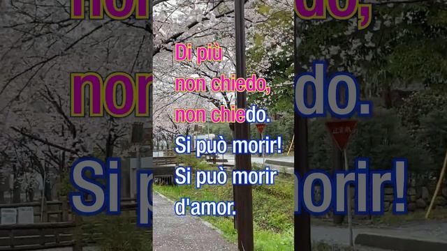 Climax Karaoke! 02: Una Furtiva Lagrima Short #opera #karaoke #climax #tenor #high voice