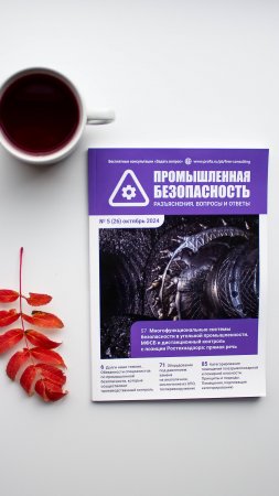 Промышленная безопасность