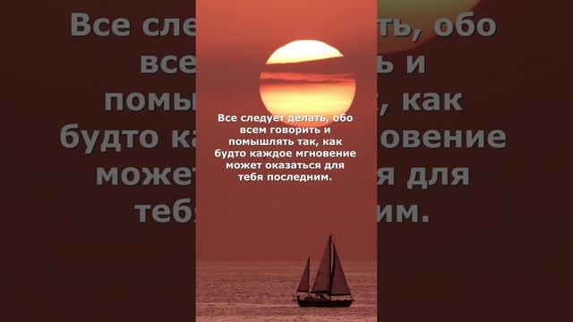 Марк Аврелий. Наедине с собой. Цитаты. #мудрость #философия #книги #цитаты #МаркАврелий