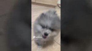 АЧИ❤❤❤