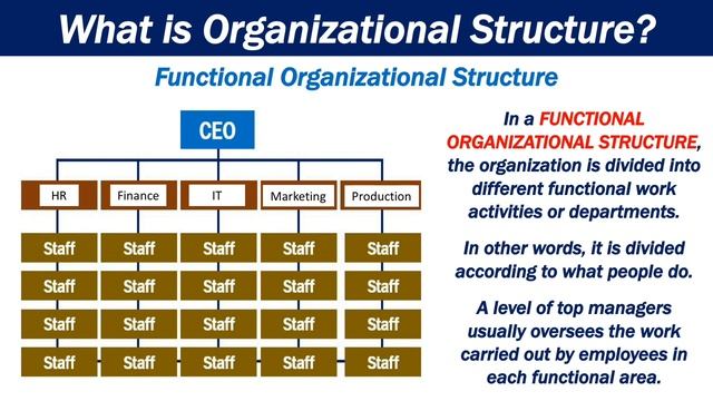 MODULE 1. TOPIC 3. ORGANIZATIONAL STRUCTURES. p37 Video