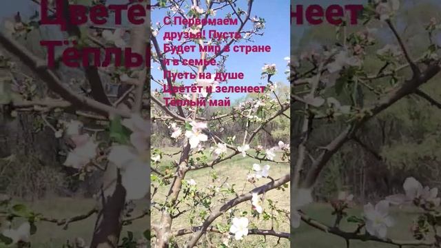 С первомаем друзья! 💐🌸🌸