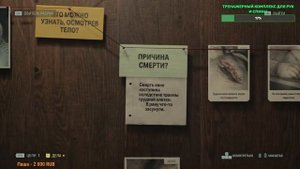 Alan Wake 2 | Расследуем убийство на озере Колдрон Прохождение Игры Алан Вейк 2 на русскомЧасть 1
