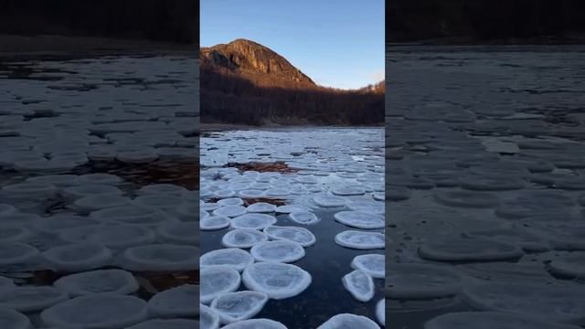 "Ледяные кувшинки" на воде