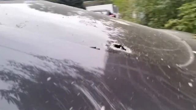 Х6 в растворе