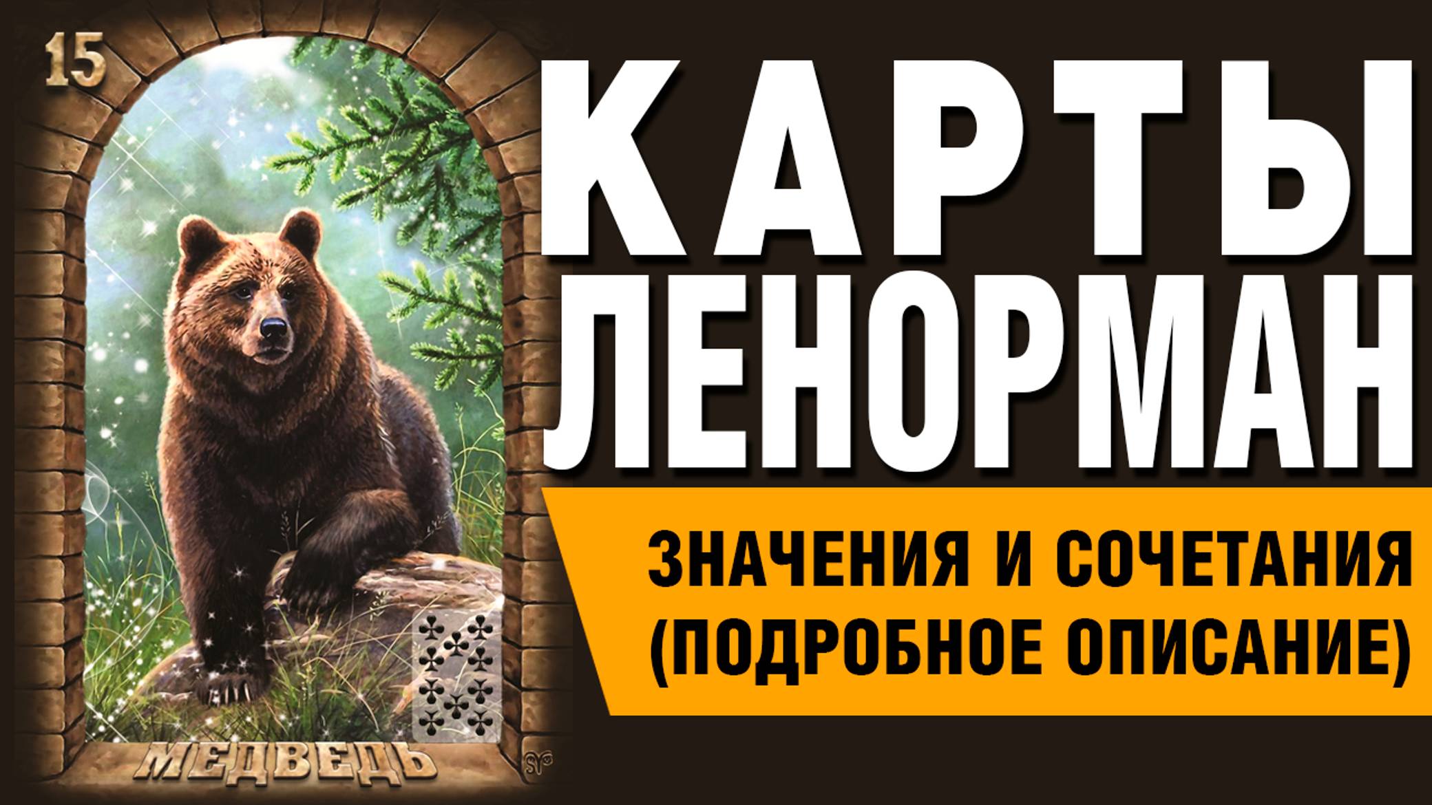 ЛЕНОРМАН | Значения и сочетания | 15. Медведь