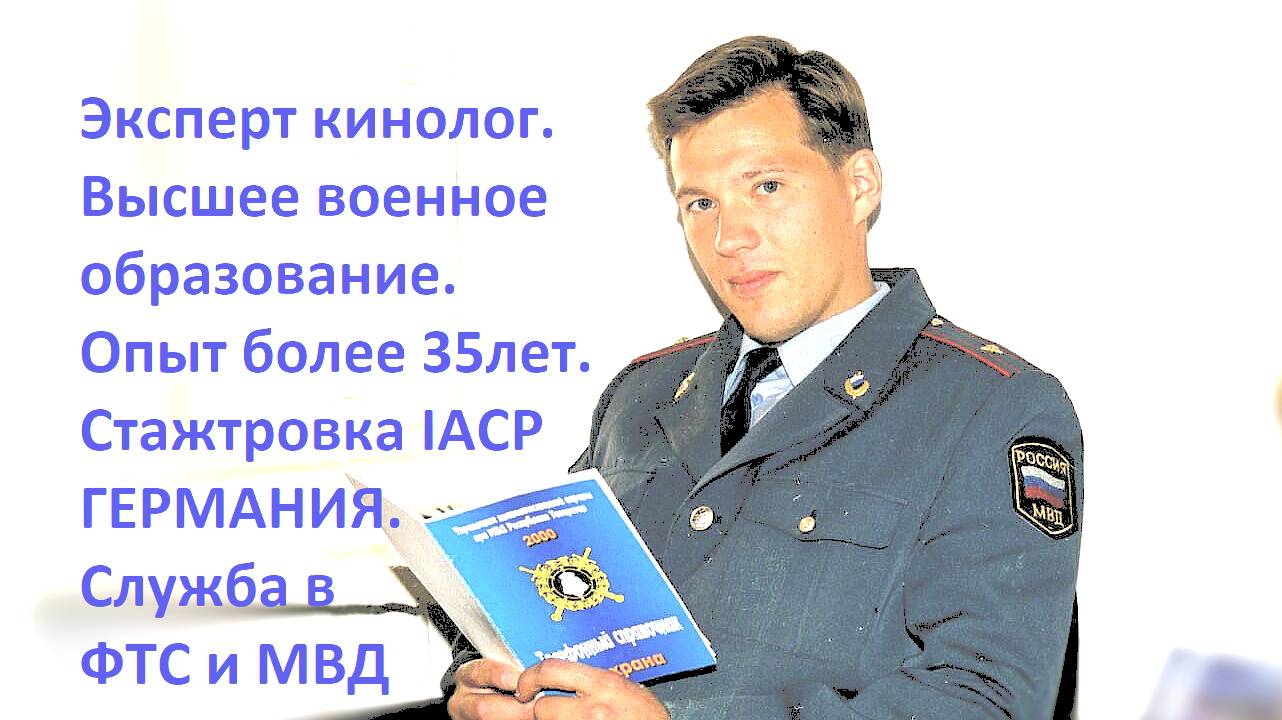 Кинолог Игорь Алтайский.
Дрессировка доберманов.