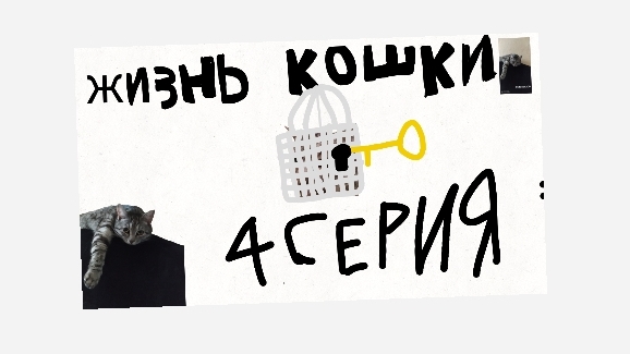 Жизнь кошки | серия 4 | клон пропал