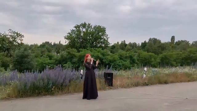 Акция песни и стихи "Парад победителей"