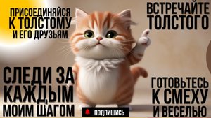 Знакомство с рыжим котёнком по имени Толстый