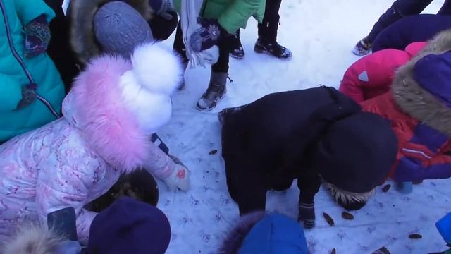 Поездка в Васин Хуторок