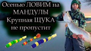Поймал МАМКУ на МАНДУЛУ! шок контент! ИЩИ ЛЕЩА И БУДЕТ ТРОФЕЙ!