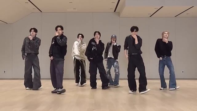 ENHYPEN - ‘No Doubt’ Dance Practice [MIRRORED]