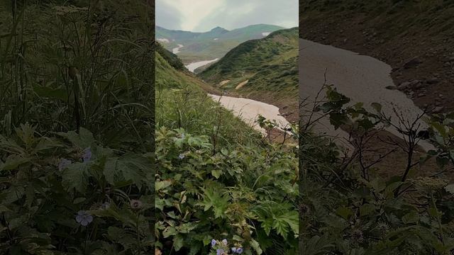 Камчатка. Поездка на Мутновский.
