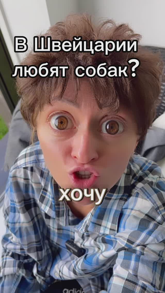 в Швейцарии едят собак