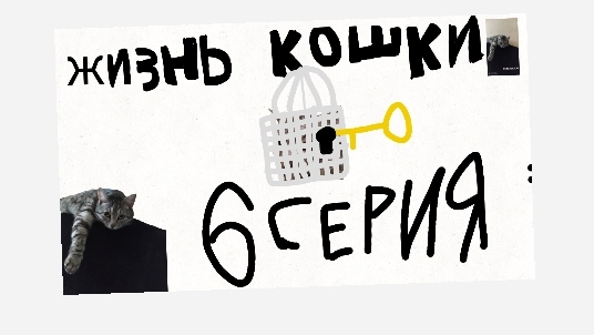 Жизнь кошки | серия 6 | прогулка по заброшке