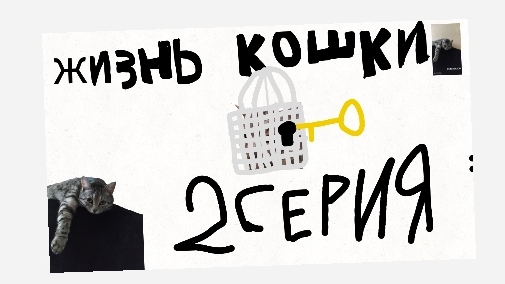 Жизнь кошки | серия 2 | Дружба со своим клоном