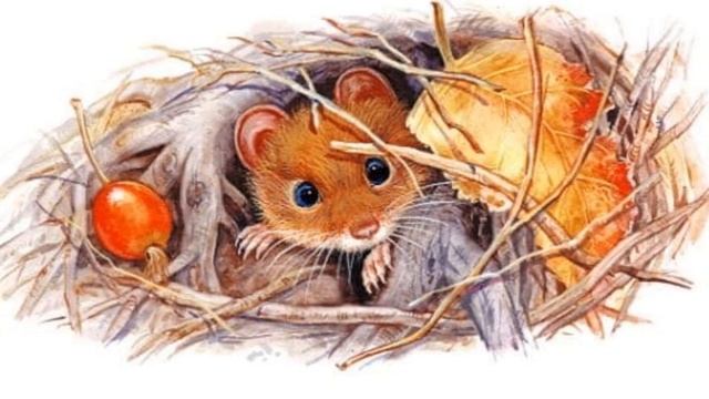 Сказка о добрых делах белочки