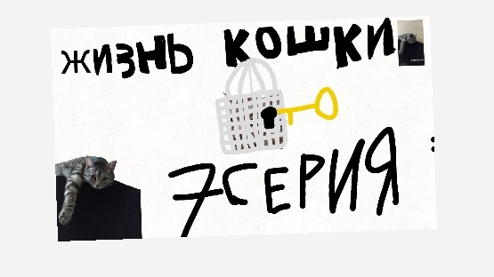 Жизнь кошки | 7 серия | гусь и кошка