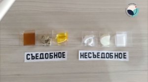 Мир ощущений  Обоняние 2