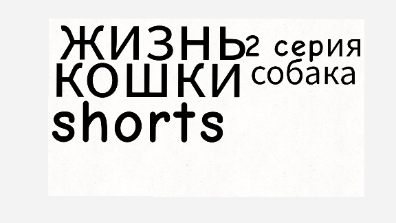 Жизнь кошки shorts | 2 серия | собака