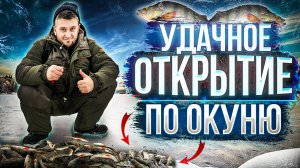 Невероятная рыбалка на окуня!