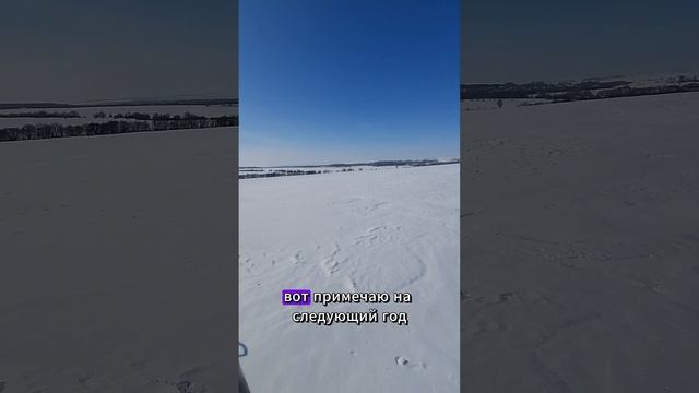 ❄️  На снегоходе #охота #охота2024