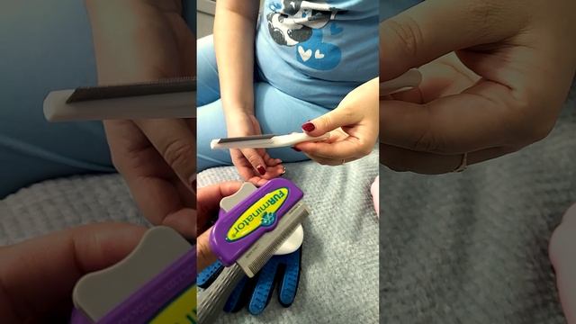 Идеальная расчёска для кошек и собак: мой опыт и находка!