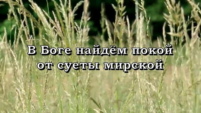 Поймай тишину. [НХМ]