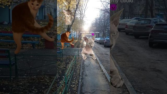 Жиза? У меня такое было два раза в жизни. А у тебя?