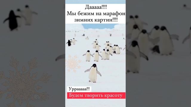 Бежим на марафон!