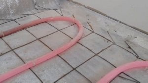 Как ведёт себя XL PIPE в местах не постоянного проживания/ нахождения?