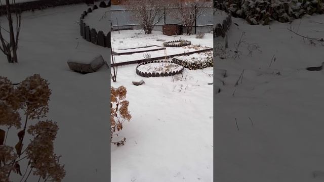 Искусство пережить ноябрь