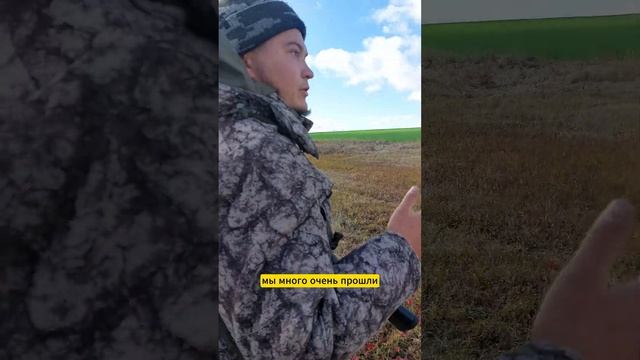 Первый заяц сезона #охота #охотаназайца