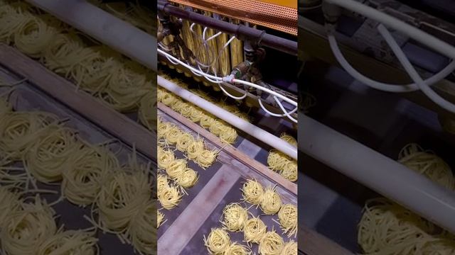 Новое оборудование на макаронной фабрике Аванти.