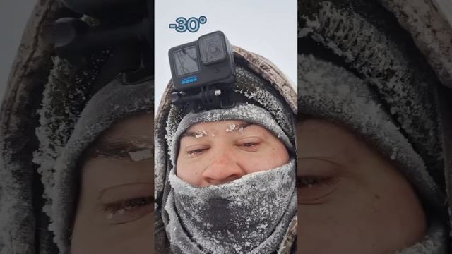 ❄️  -30. Взяли зайца в лютый мороз! #охота2024 #охота #охотаназайца