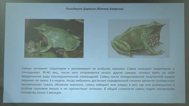 Иваницкий В. В. - Зоосоциология - 9. Семья и брак в мире животных и в обществе людей