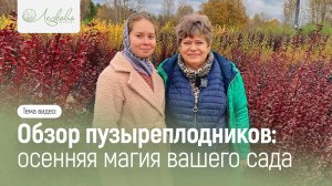 ОБЗОР ПУЗЫРЕПЛОДНИКОВ: ОСЕННЯЯ МАГИЯ ВАШЕГО САДА