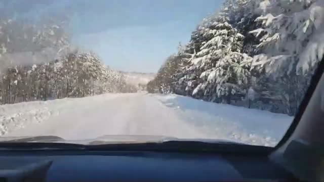 Охота в минус -40 на Алтае, Марал. Косуля. Белокуриха.