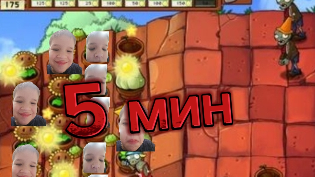 5 мин с pvz