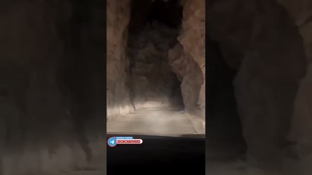 scene_output.mp4