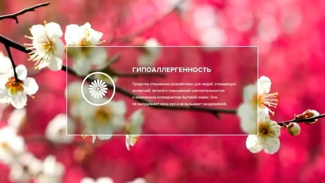 ALIVE. Моющие средства для дома