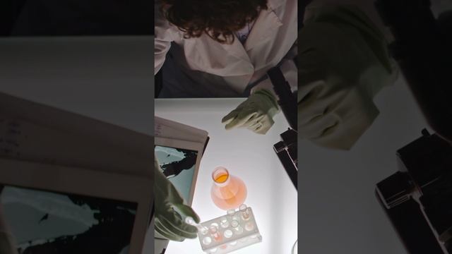 Чем рецептура Havens отличается от других брендов масел?