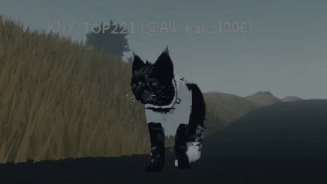 FIRE PAW