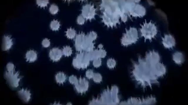 Как сохранить свое здоровье