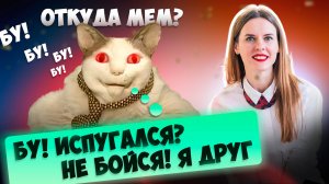 Откуда мем: кот Вискер | Бу! Испугался? Не бойся, я друг!