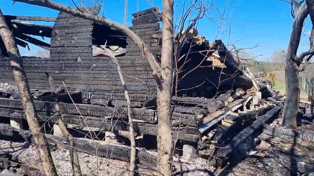 Проект Феникс.Пролог 2