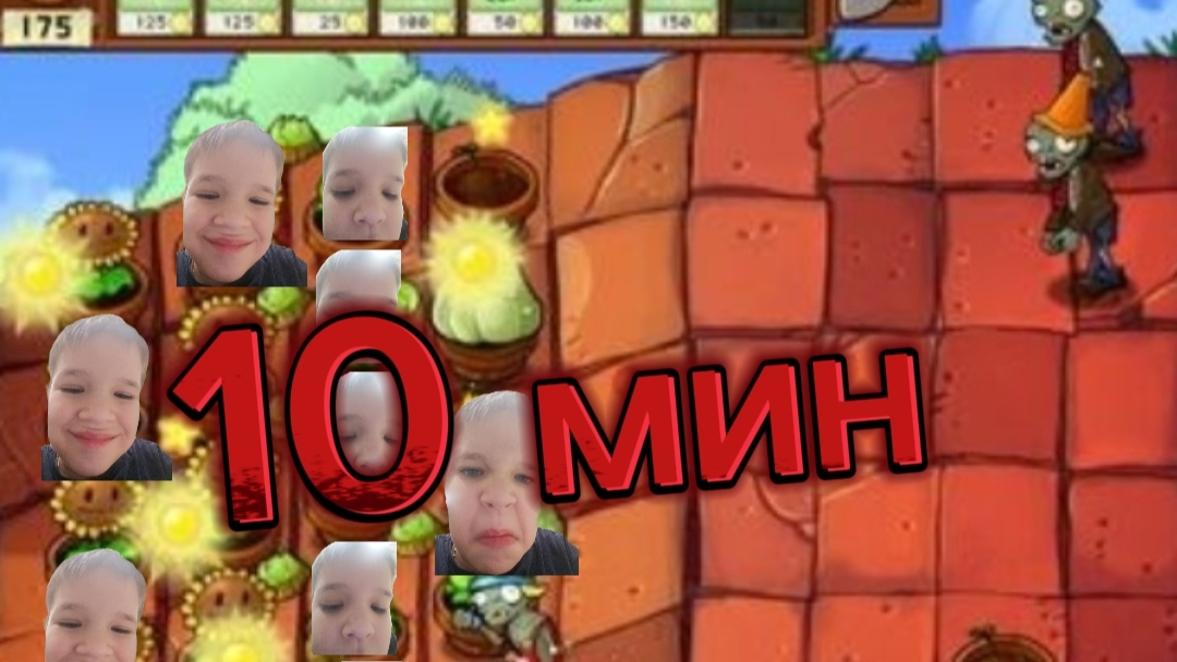 10 мин с pvz