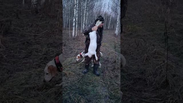 Шайтан.